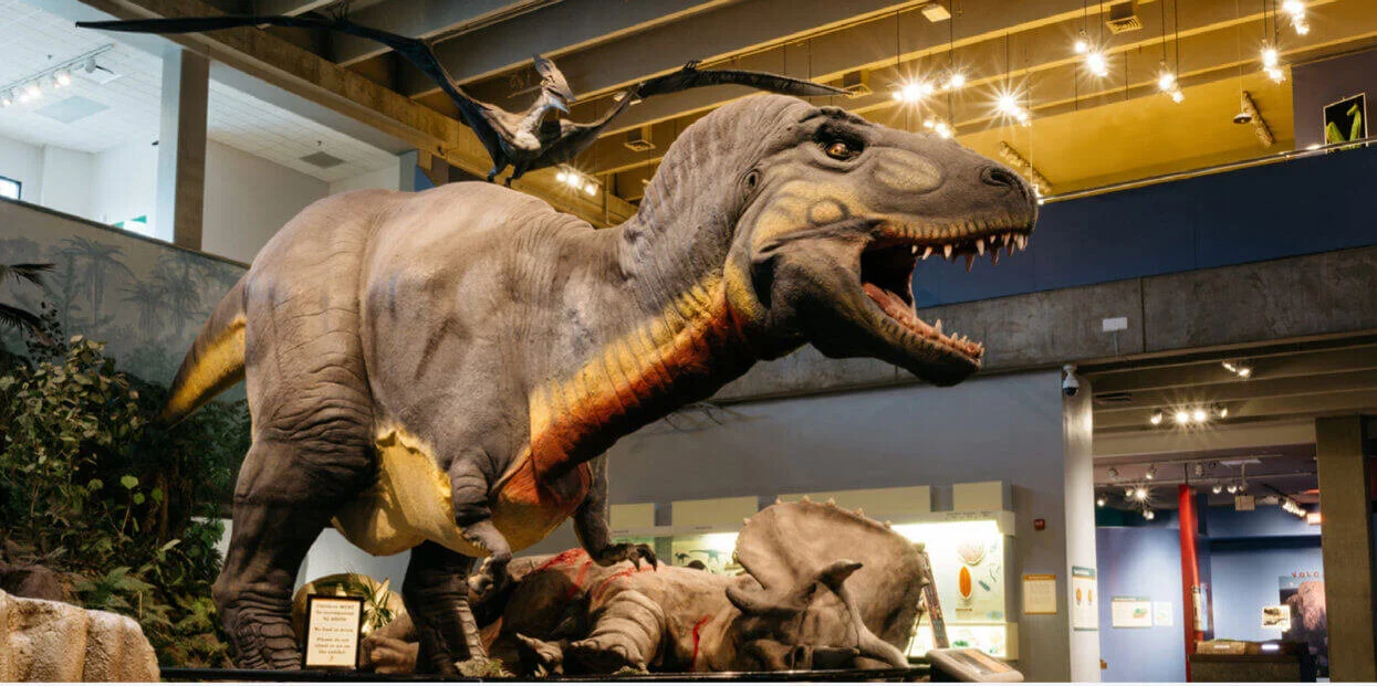 PALEO CHAT: Dinos and Reptiles and Birds, oh my! – Saint Louis Science ...